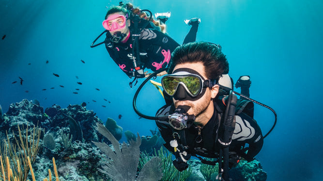 Octopus – Octopus Diving